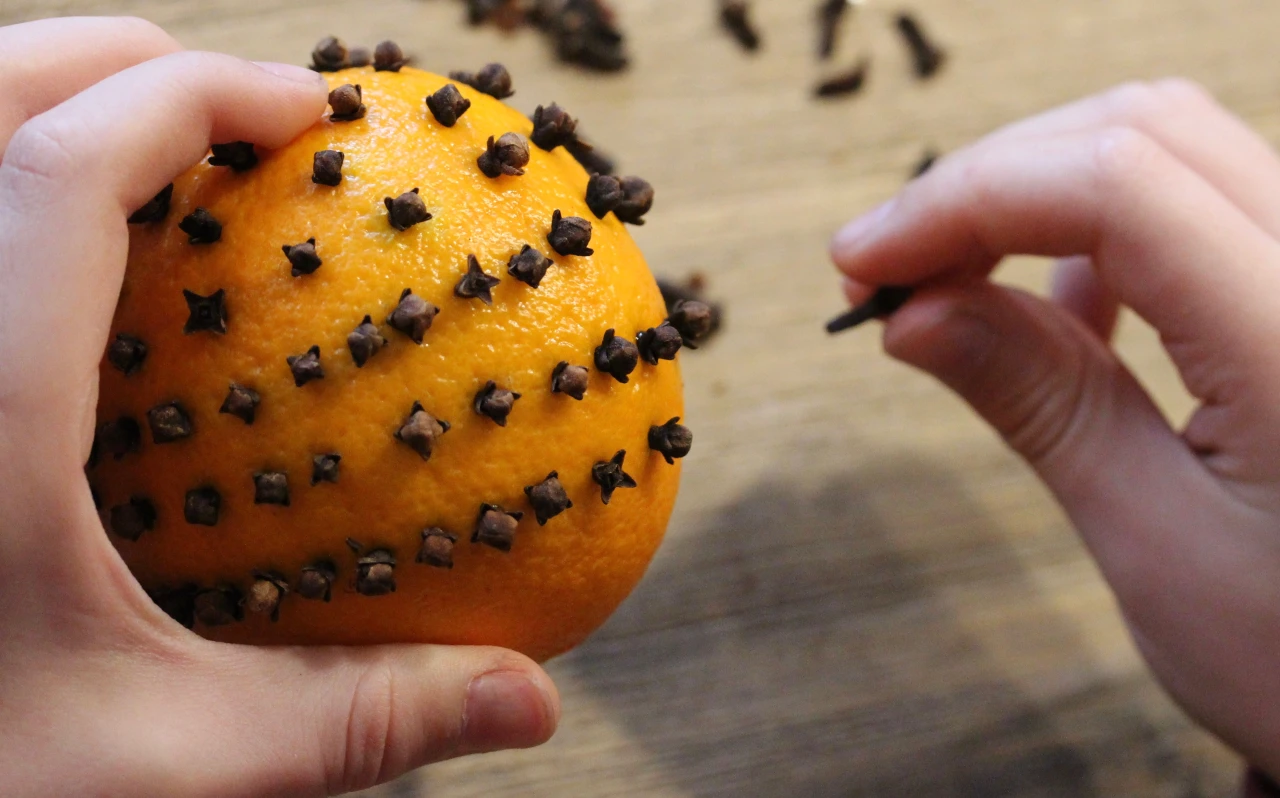 Best Natural Fly Repellent DIY Outdoors (5 Proven Recipes)