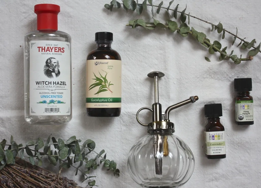 Best Natural Fly Repellent DIY Outdoors (5 Proven Recipes)