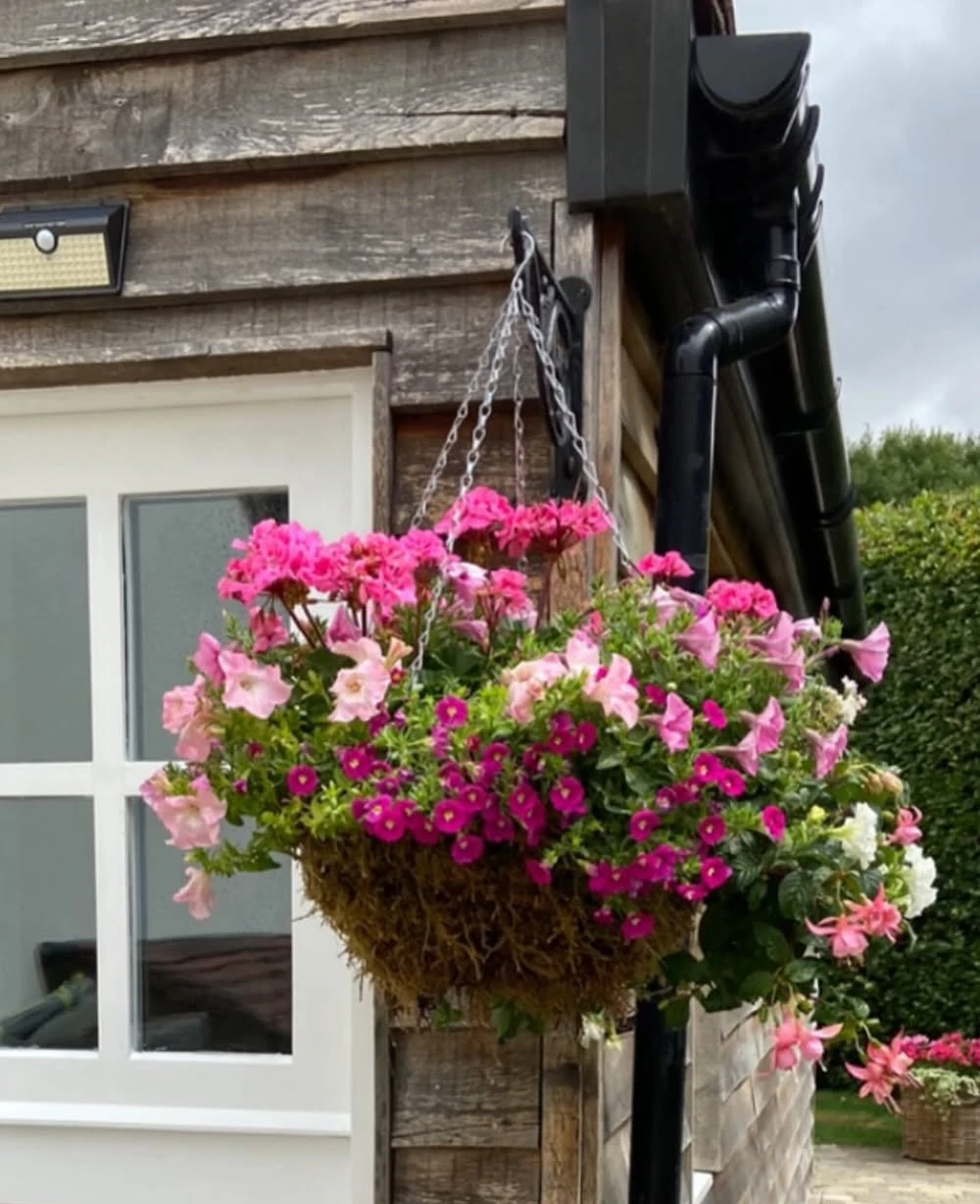 40 Unusual Hanging Basket Ideas That’ll Upgrade Your Entire Home