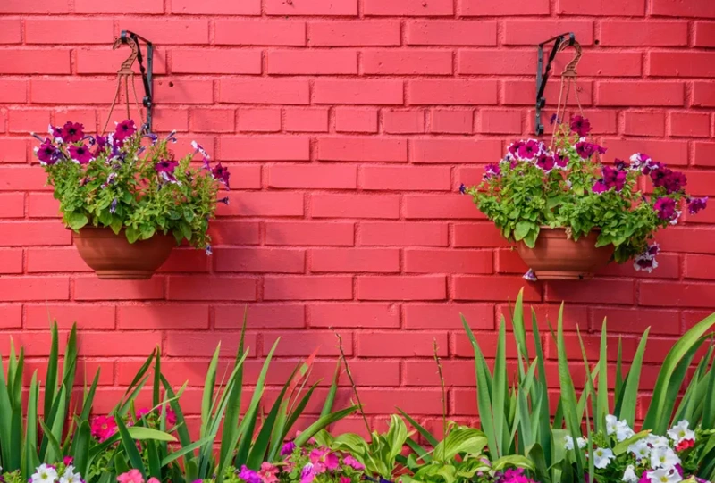 40 Unusual Hanging Basket Ideas That’ll Upgrade Your Entire Home