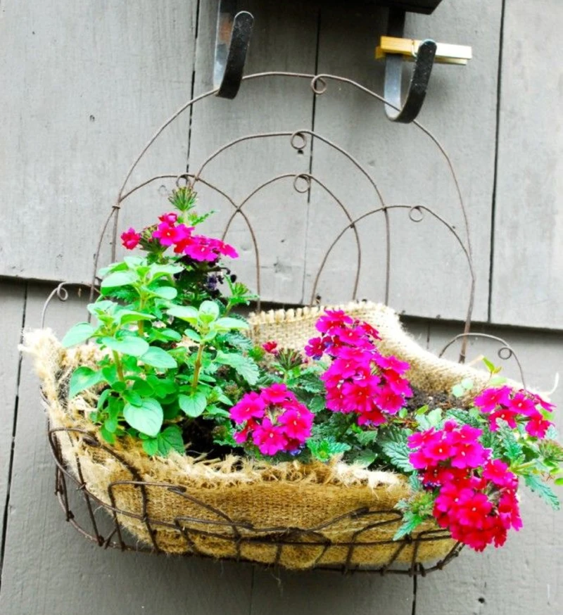 40 Unusual Hanging Basket Ideas That’ll Upgrade Your Entire Home