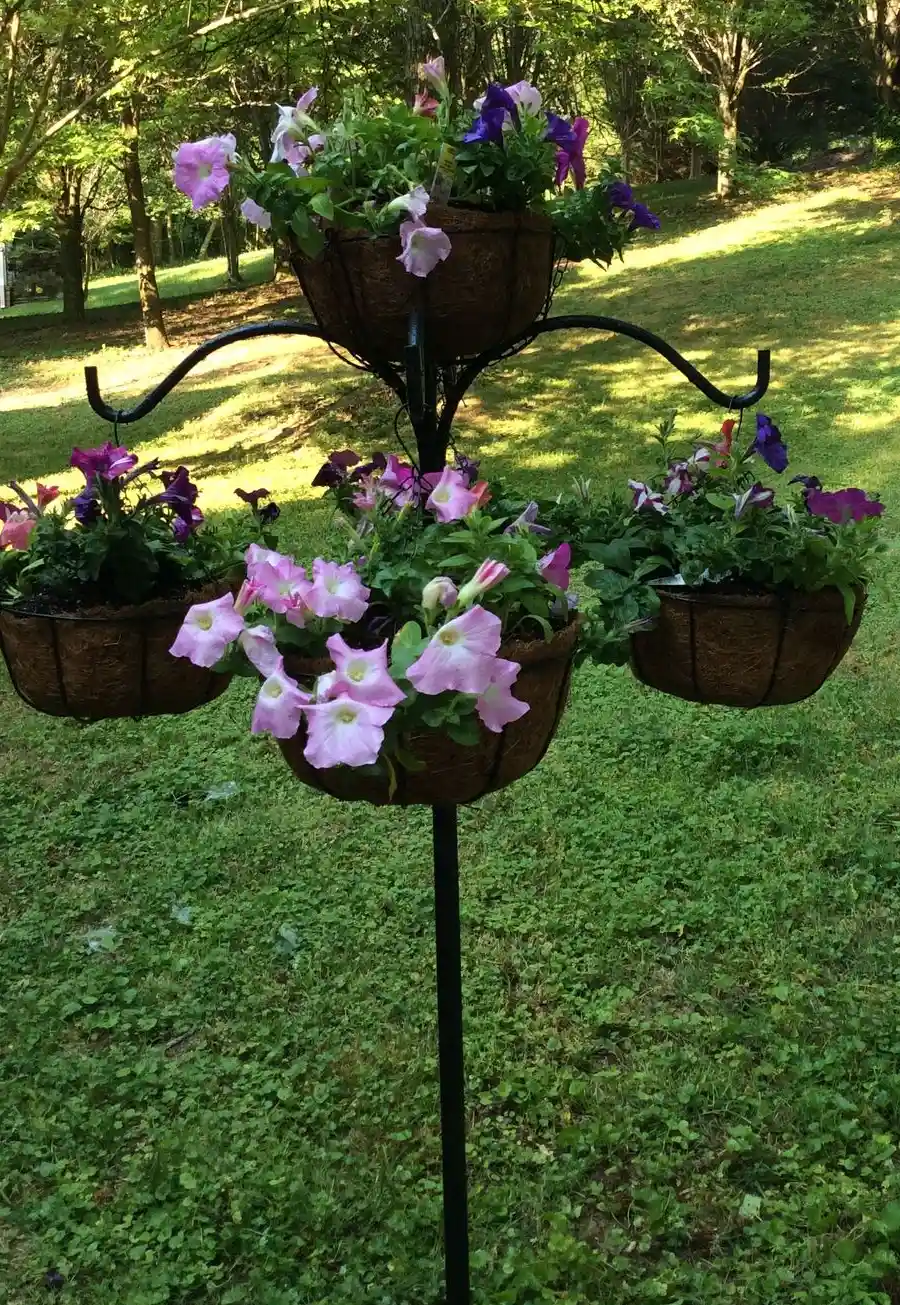40 Unusual Hanging Basket Ideas That’ll Upgrade Your Entire Home