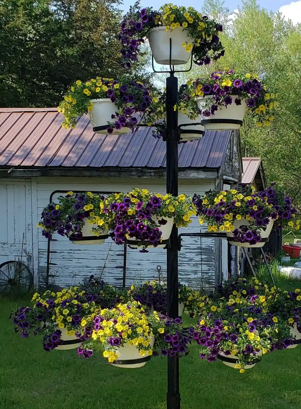 40 Unusual Hanging Basket Ideas That’ll Upgrade Your Entire Home
