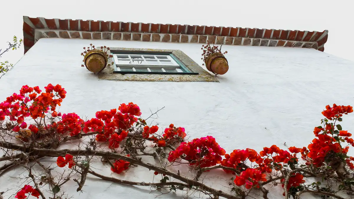 19 Winter Flower Ideas for Tiny Homes That Don't Look Cheesy - Farm Sun ...