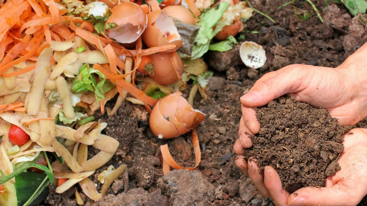 Composting For Beginners: The Only Step-by-Step Guide You Actually Need